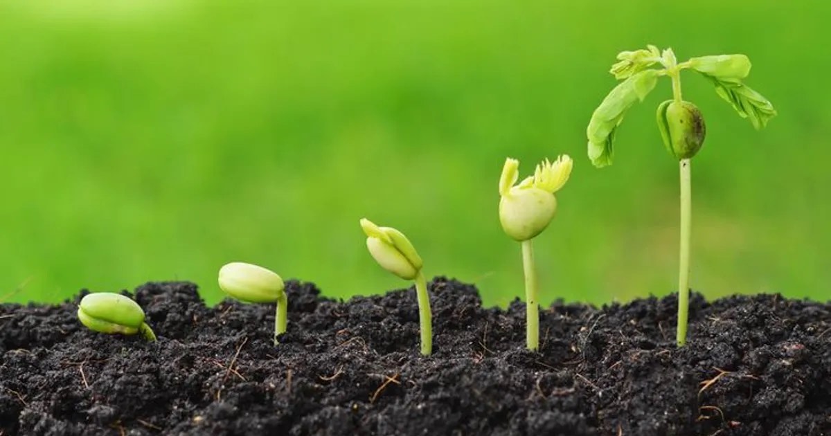 Seven Habits that Shaped My Last Decade