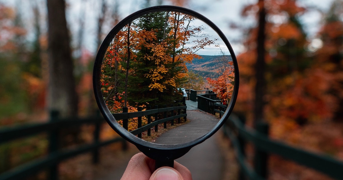 Search • Eugene Yan